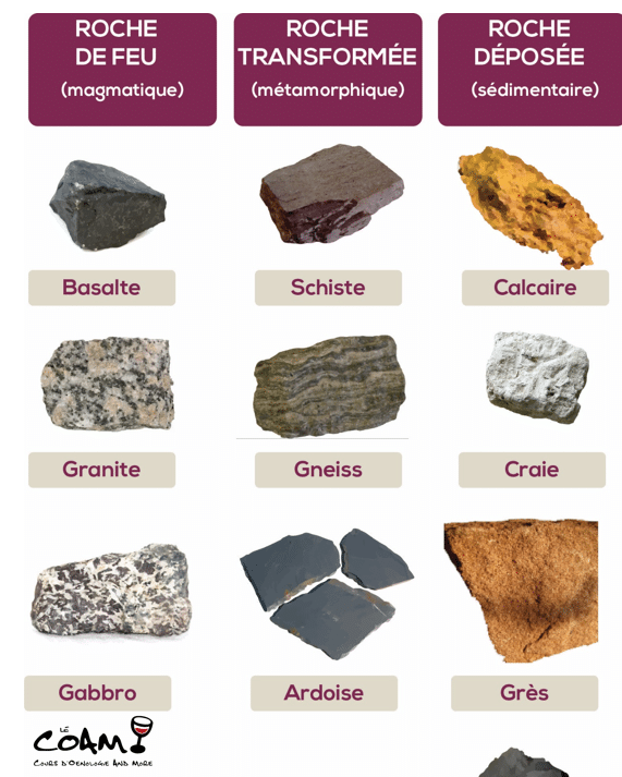 Le petit guide simplifié des ROCHES de nos vignobles, à l’usage du ...