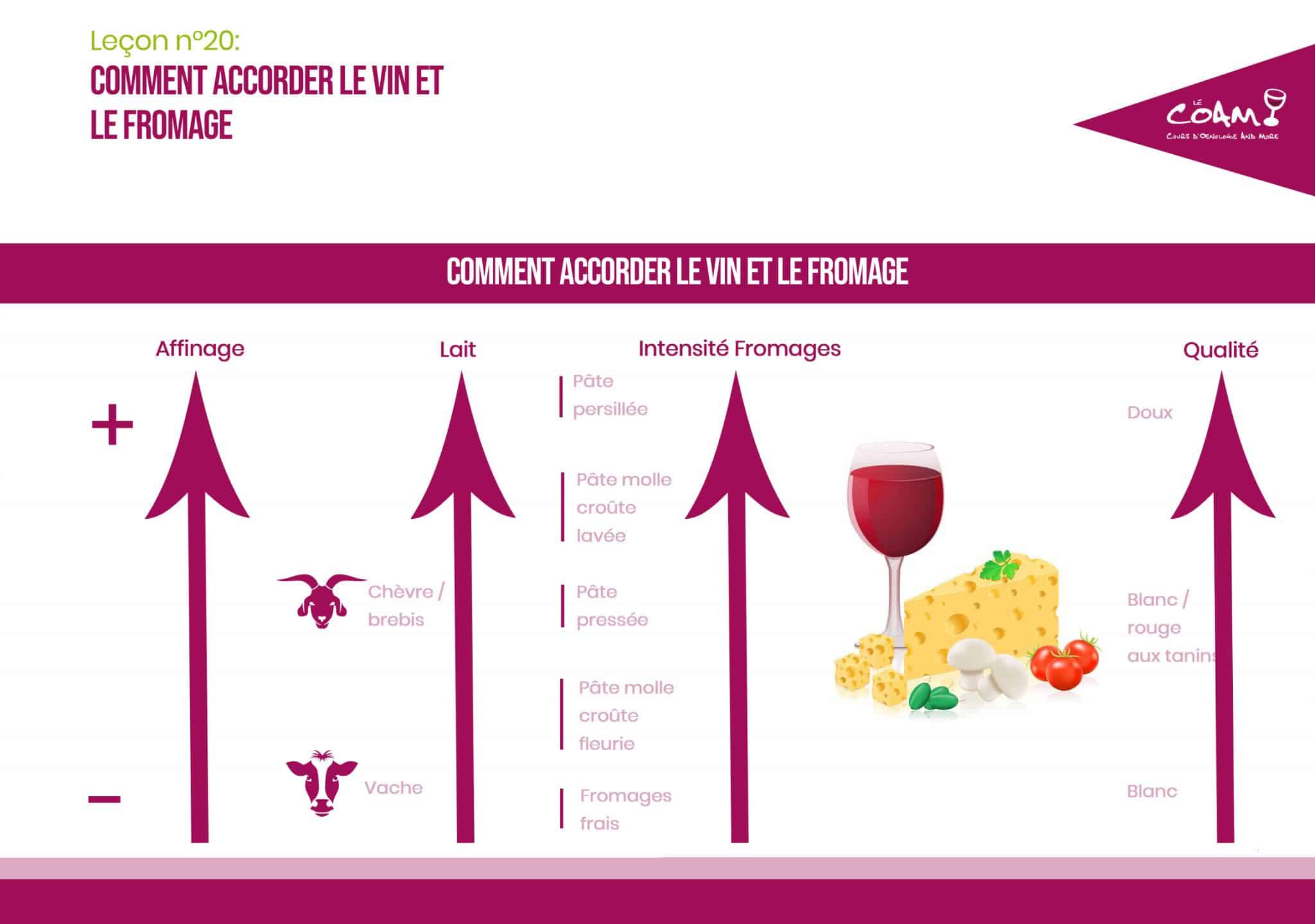 Mes Techniques pour Accorder le vin et le Fromage 🍷🧀