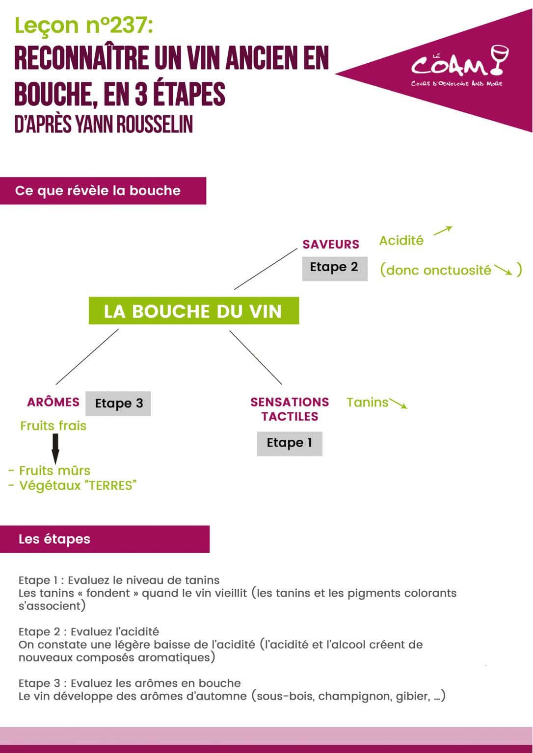 📌Votre schéma : L'art de reconnaitre un vieux vin🍷